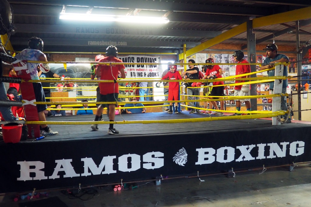 Top 5 Boxing Gyms in San Antonio - The Top Boxers